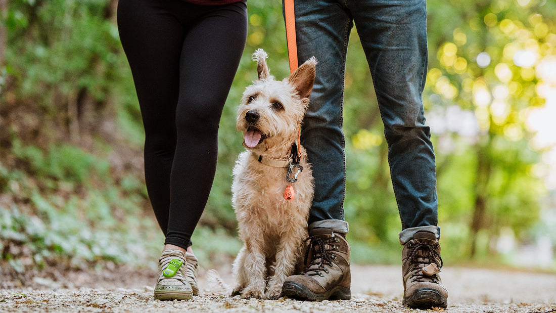 Official Tickless USA Chemical-Free Ultrasonic Tick Repeller – TicklessUSA