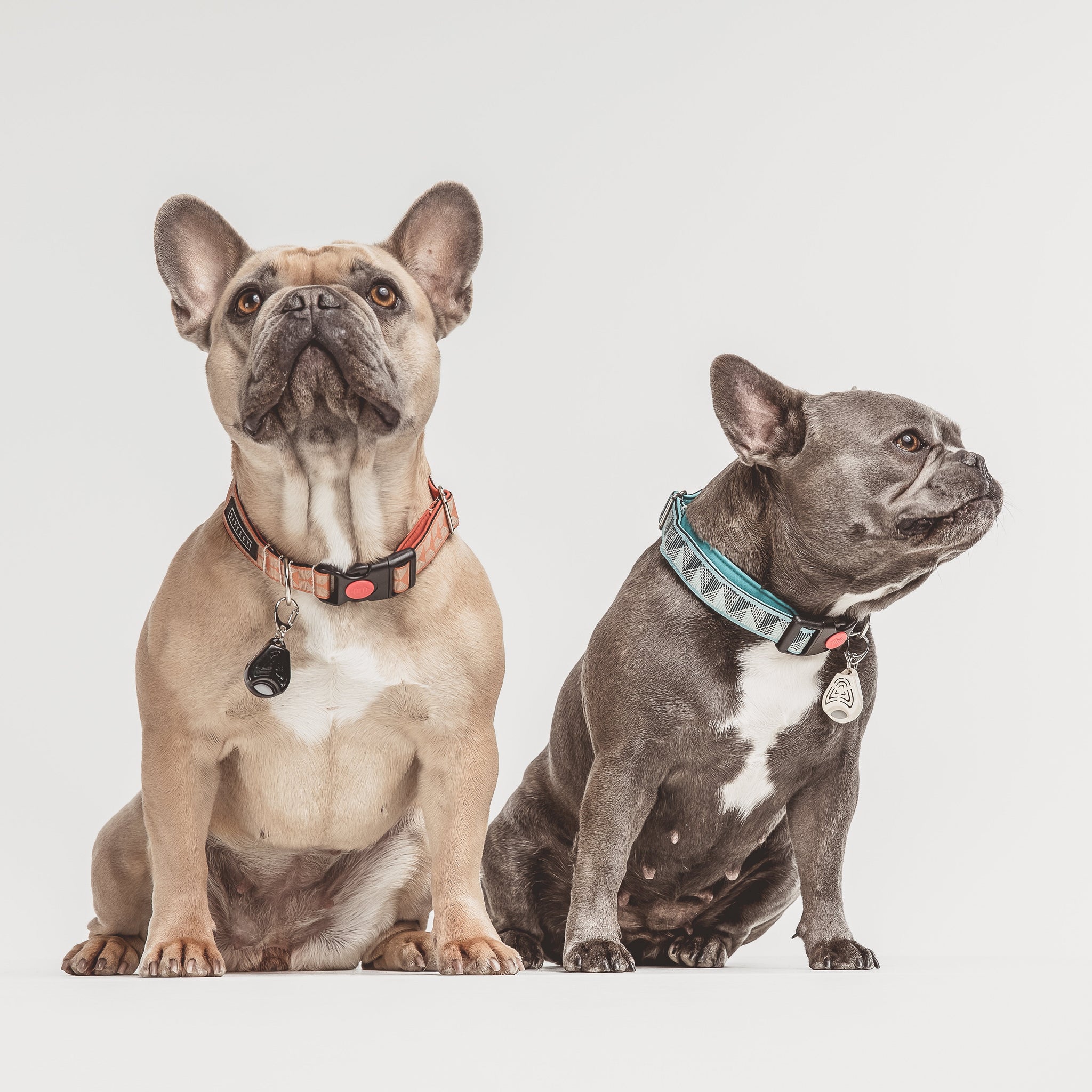 TICKLESS® Pet - Chemical-free, ultrasonic tick and flea device for pet ...